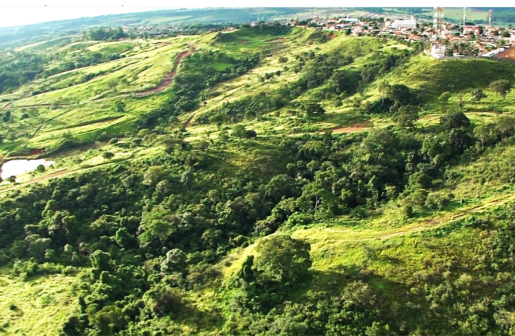 Associação Comercial e Industrial de Anápolis celebra os 75 anos da ...