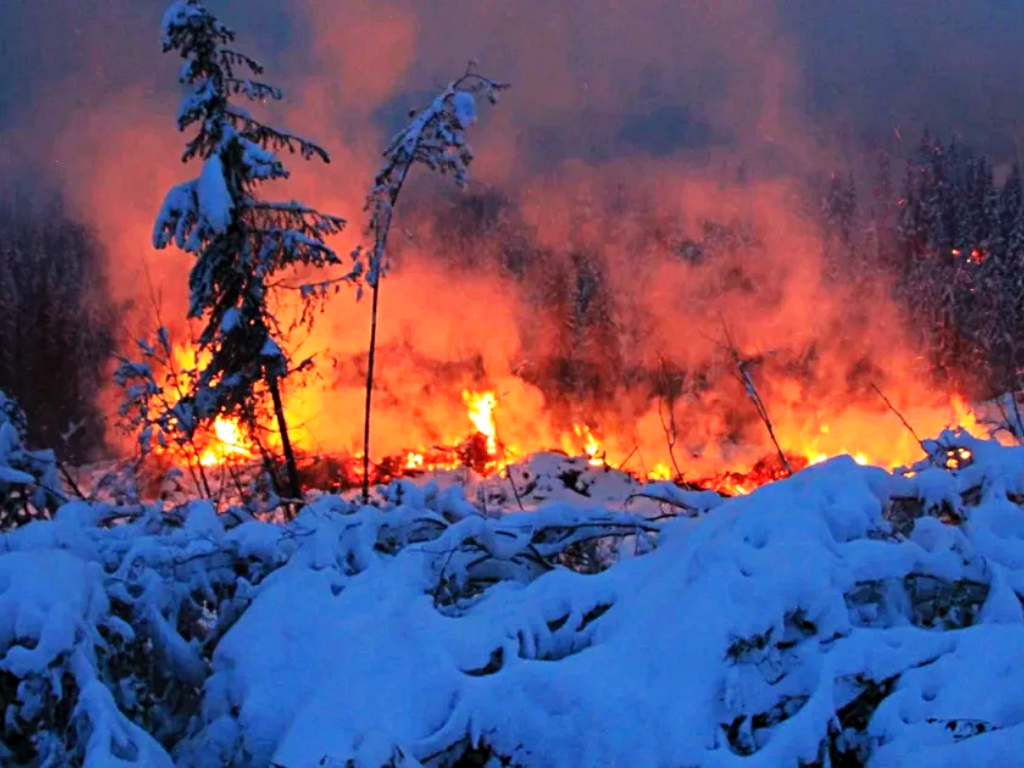 O que são os 'incêndios zumbis' que ameaçam o Canadá no inverno ...