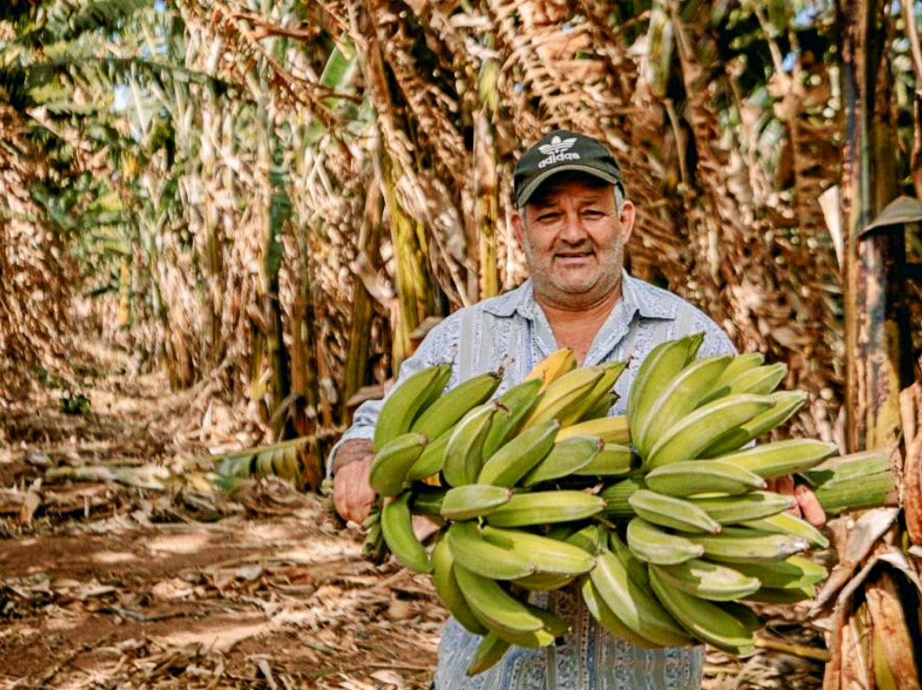 Interlândia realiza a Festa da Banana 2024 - Planeta Água
