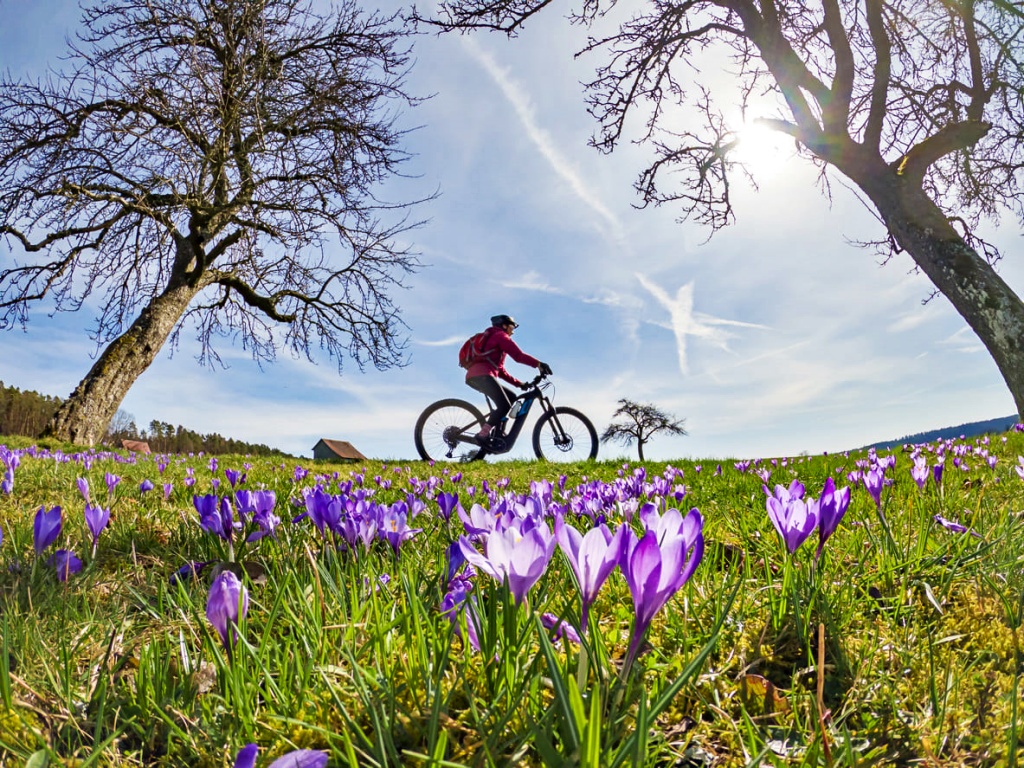 Que venha a primavera em cada vida - Planeta Água